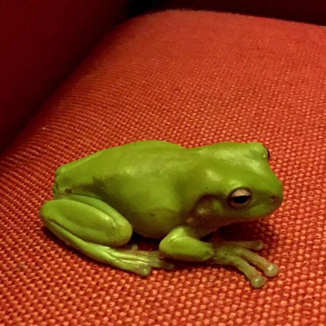 Jim Dobbin – Personal Blog