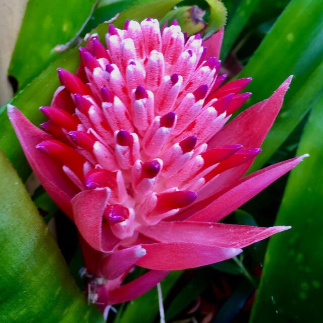 Jim Dobbin – Personal Blog