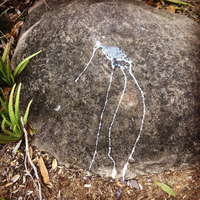 Jim Dobbin – Personal Blog