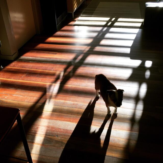 Jim Dobbin – Personal Blog