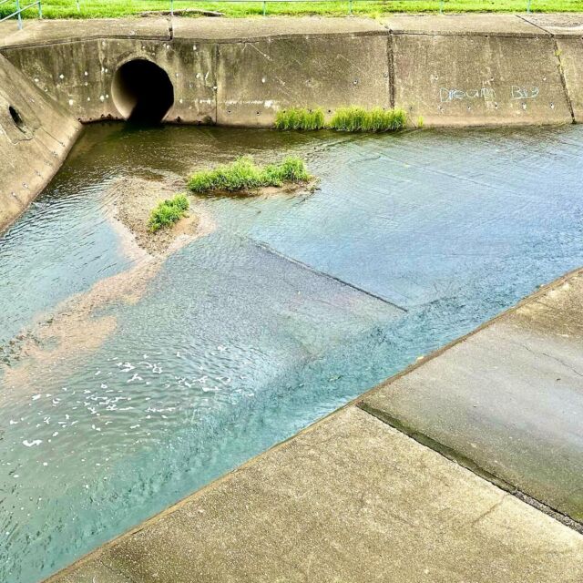 Jim Dobbin – Personal Blog